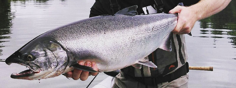 Olympic Peninsula Fishing Guide - Olympic Peninsula Fishing Guide ...